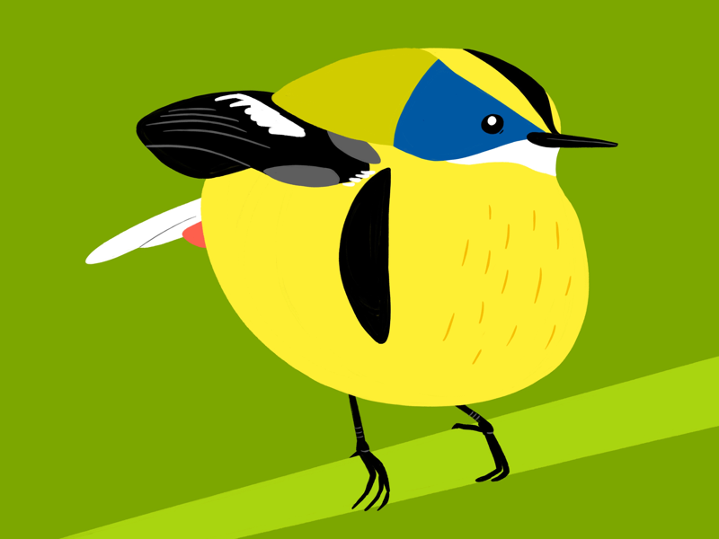 Happy little bird by Olivia Lightner on Dribbble