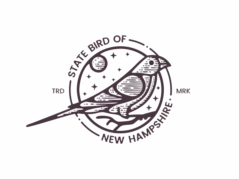 Purple Finch 3x4 by Rick Barker on Dribbble