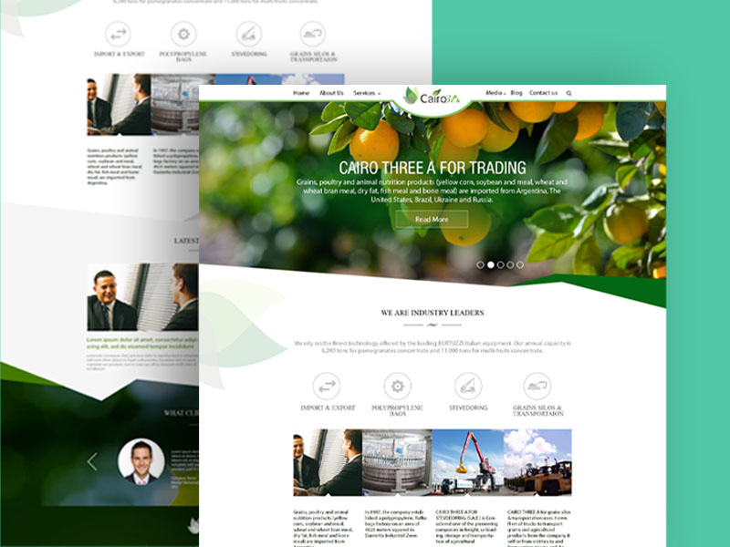 Cairo3A Trial by Angela Awad on Dribbble