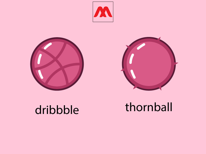 Dribbble Thornball by Ma Masud Hossen on Dribbble