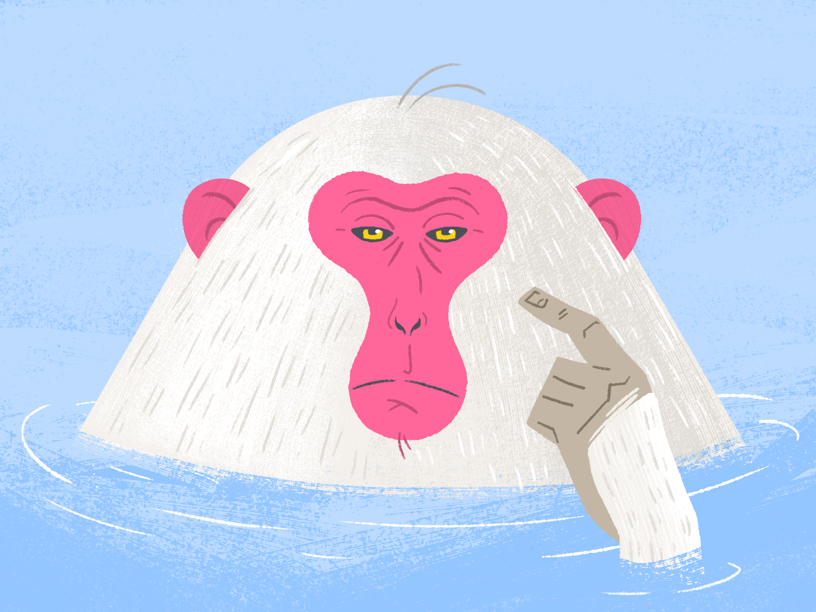 Japanese Macaque Drawing