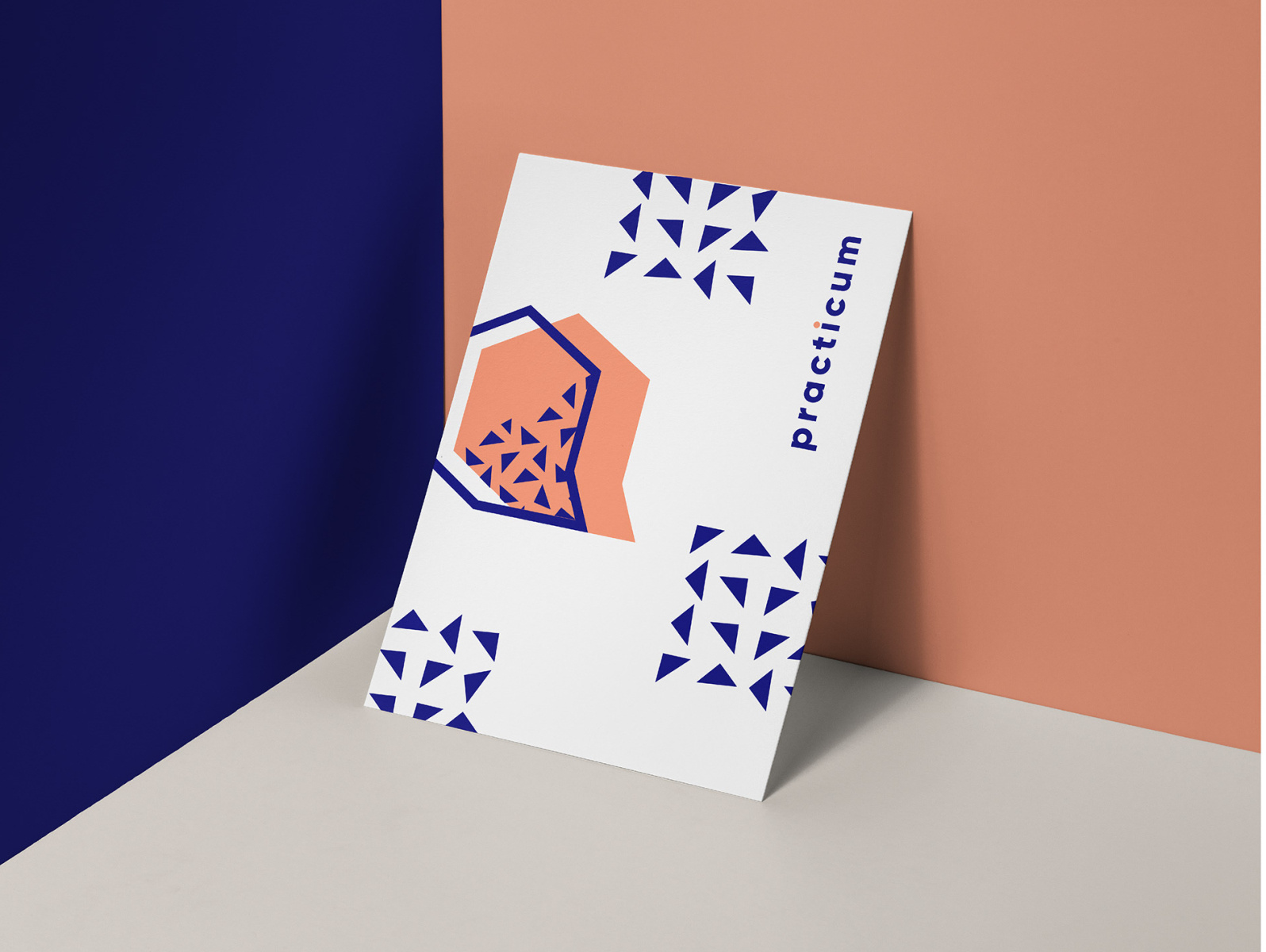 practicum Branding by Rachel Skiba on Dribbble