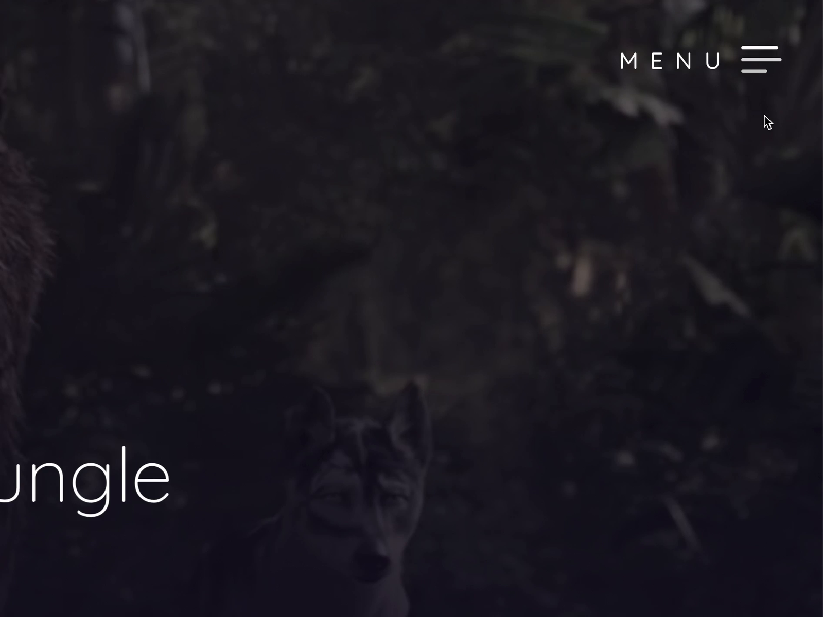 Minimal Menu Animation by Josh Overton on Dribbble