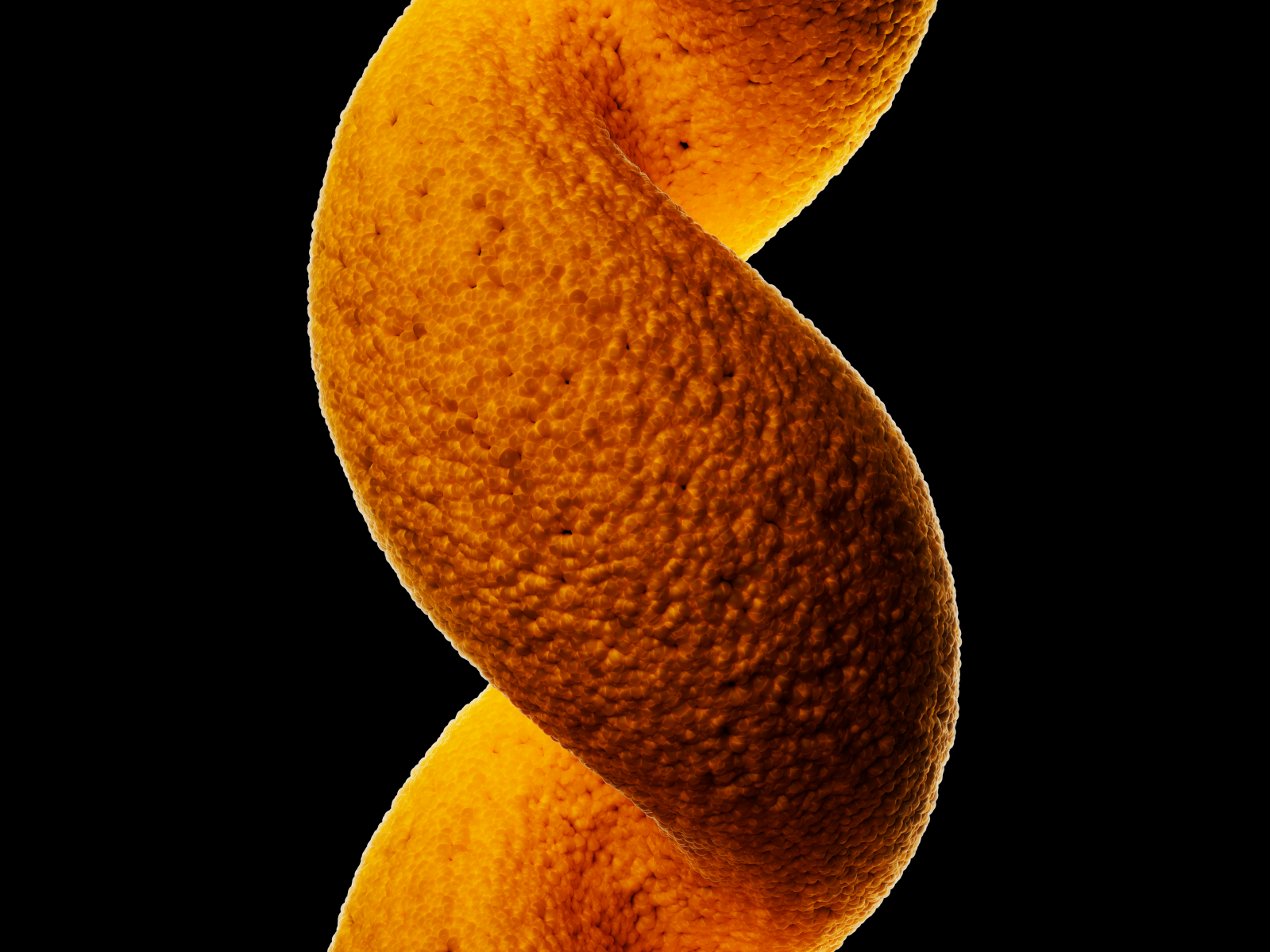 CHEETOS SPIRAL by Krystian Plich on Dribbble