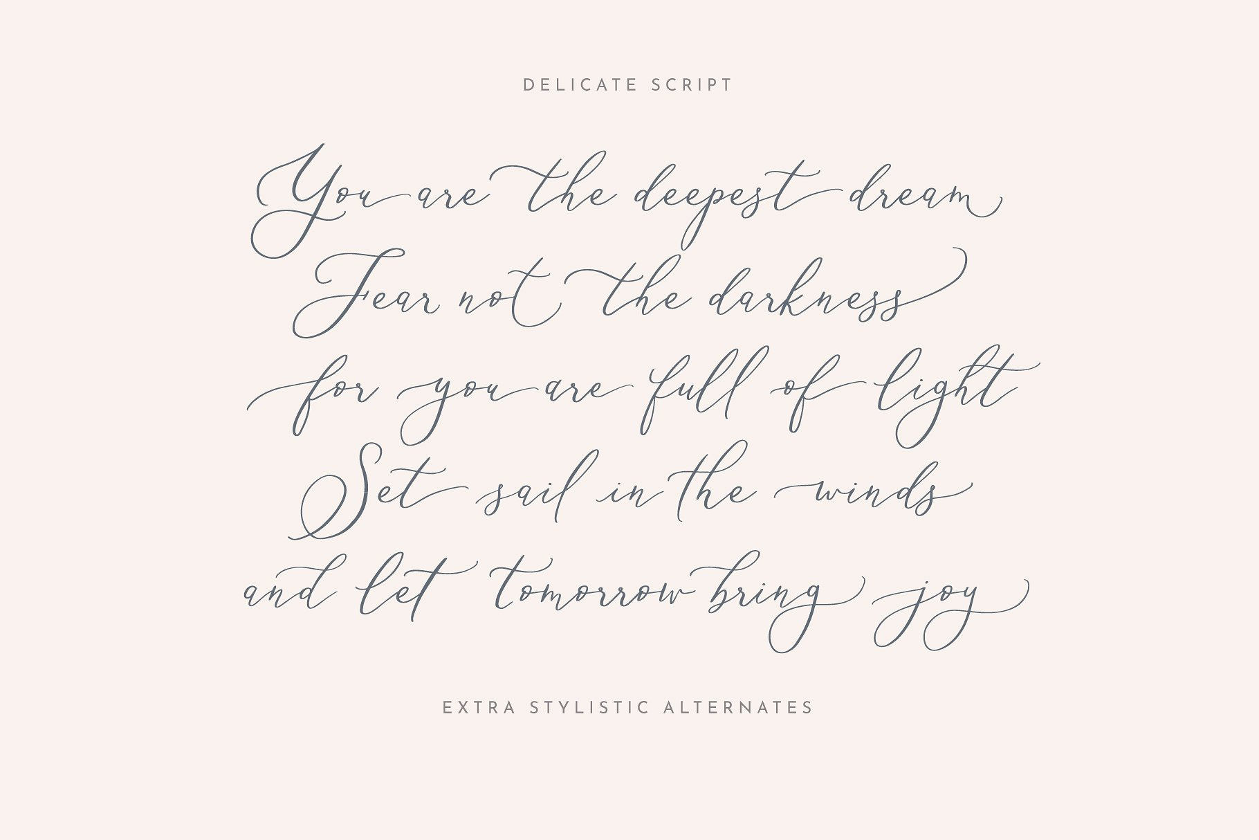 Dribbble - delicate-elegant-script-font-ornaments-swashes-cover-long ...