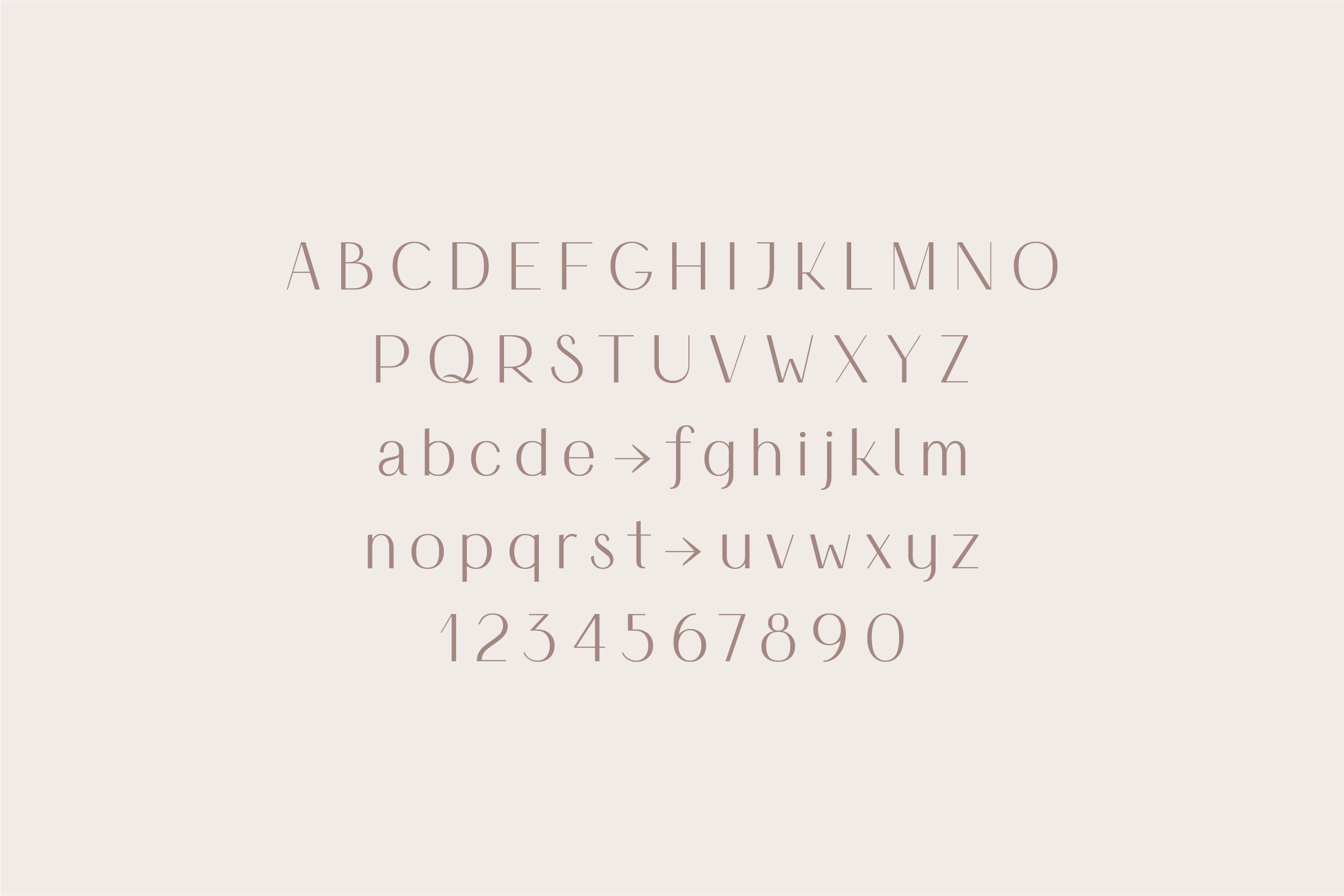 Dribbble - untitled-1-23-.jpg by Fonts Collection