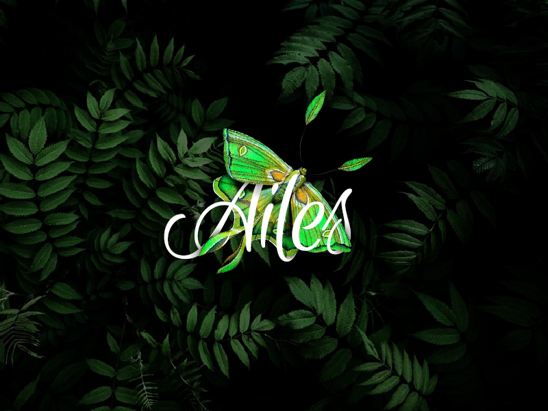 Ailes (Wings) by Ravindu Subasinghe on Dribbble