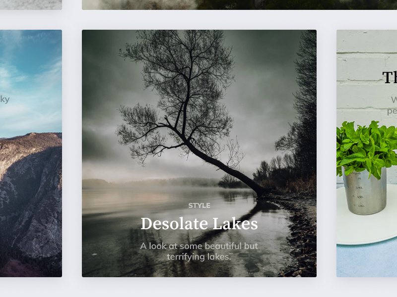 Gallery Cards Grid by Seb Kay on Dribbble