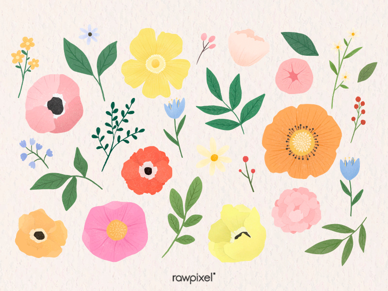 Colorful Flowers Vector Set by Aum for rawpixel on Dribbble