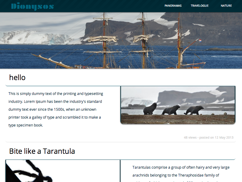 Travel Photography Page WIP thingy by Erik on Dribbble
