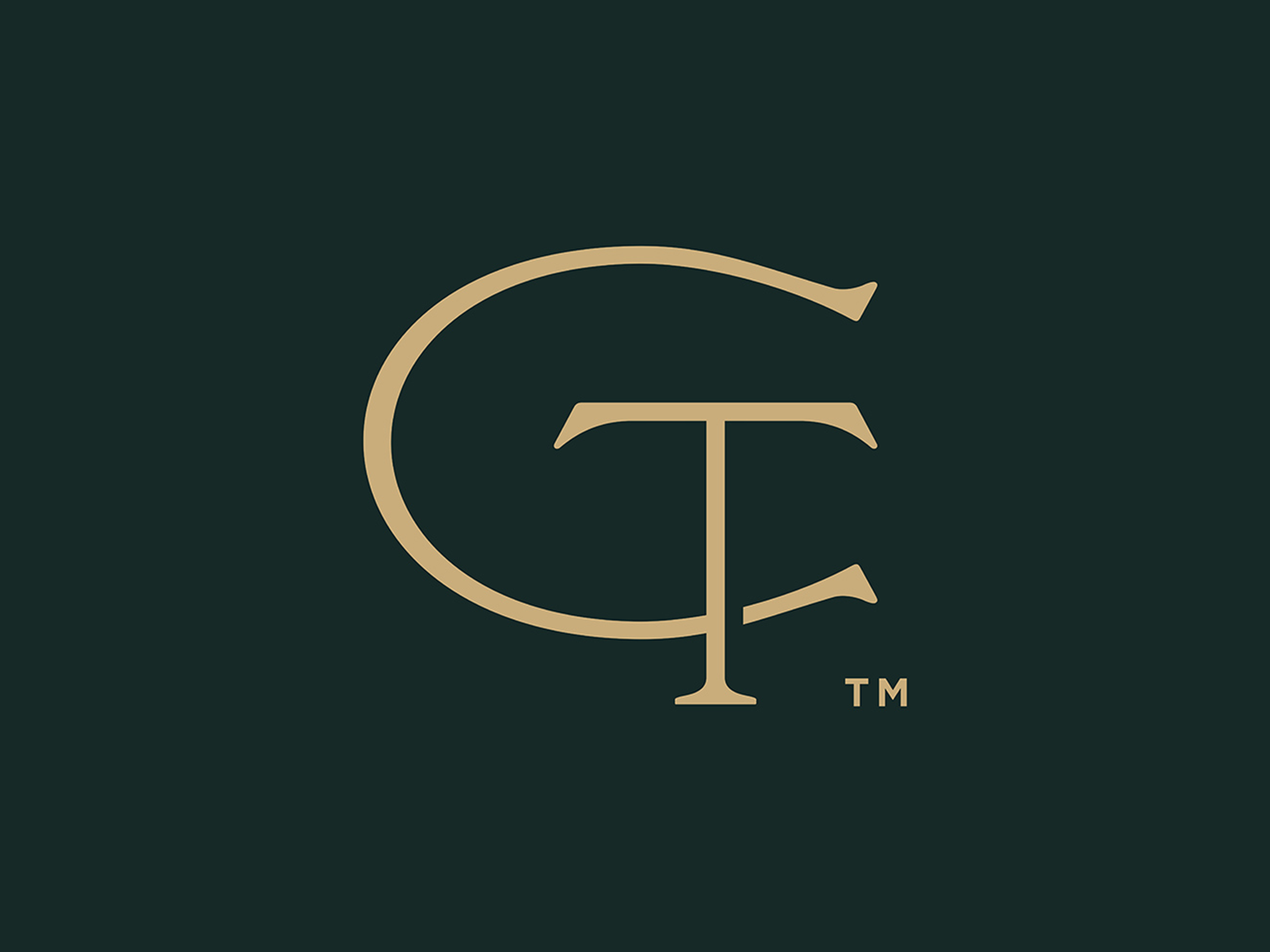 LOGO DESIGN FOR CT DESIGNS by Myfxmedia on Dribbble