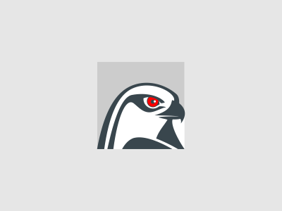 Goshawk by Tom Aquino on Dribbble