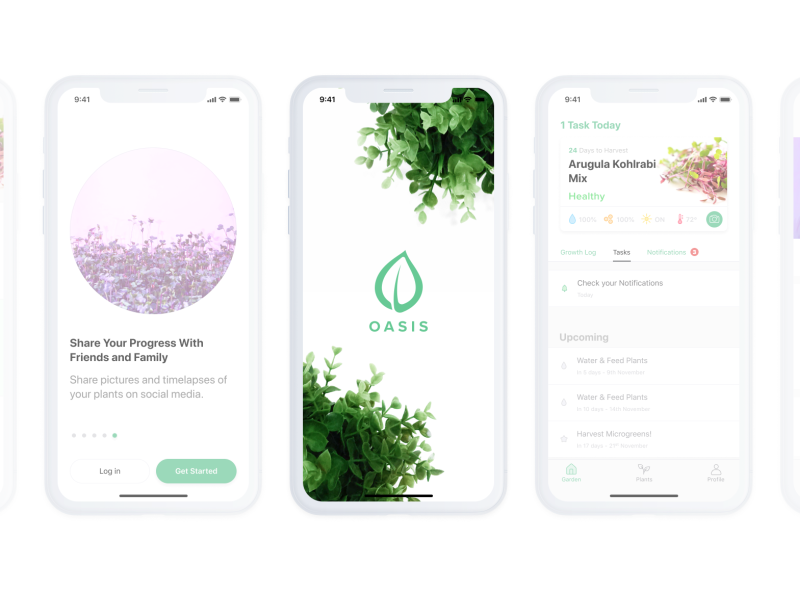 Oasis Splash Screen by Parv on Dribbble