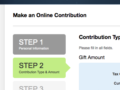 Step 2: Contribution Type & Amount by Ismael Burciaga on Dribbble