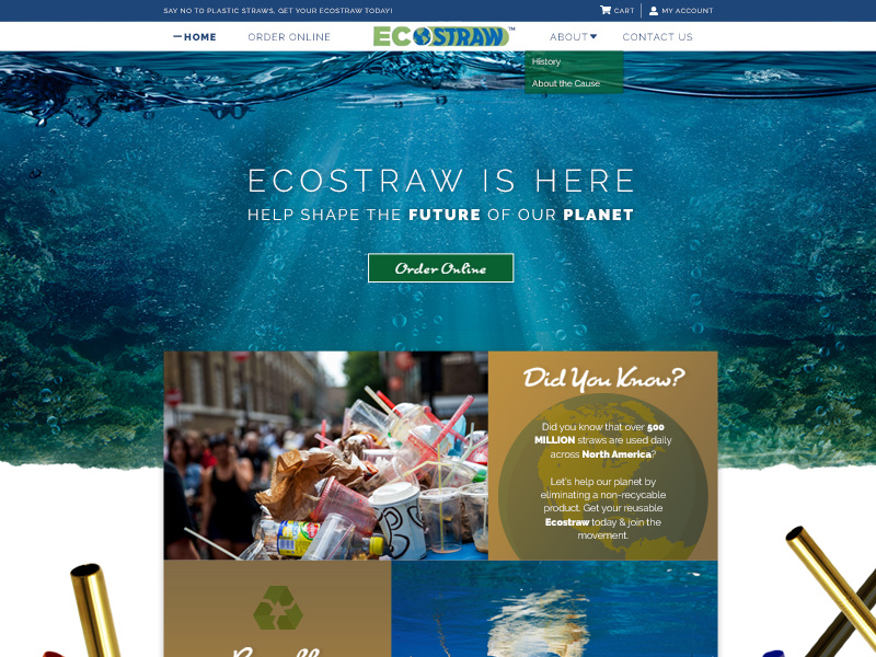 Eco-Friendly Straw Homepage by Calin Cohan on Dribbble