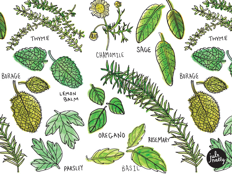 Herb Pattern by Julz Nally on Dribbble