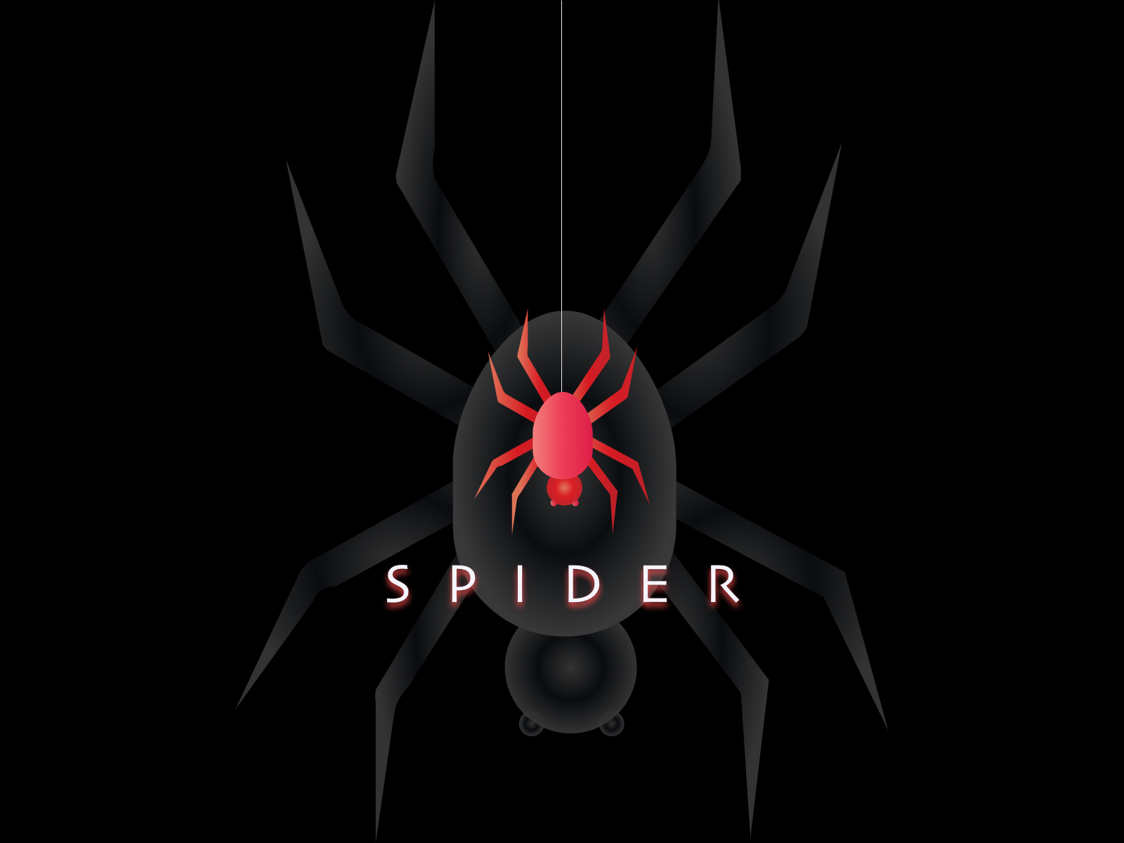Spider Logo Design