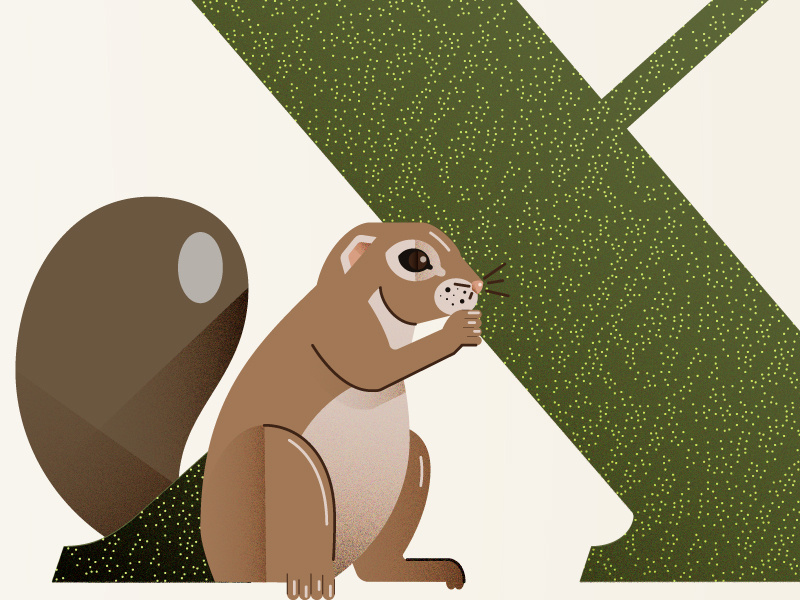 Xerus by Nadira Filatova on Dribbble