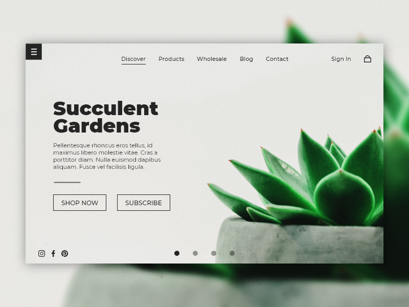 Plant Store Landing Page by Mina on Dribbble