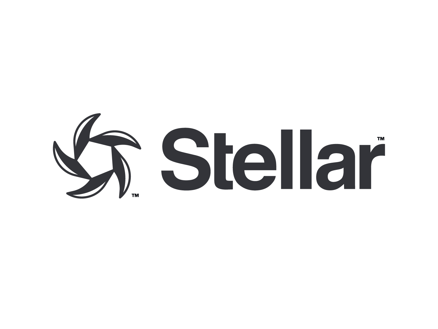 Stellar Logotype by E49 CREATIVE on Dribbble