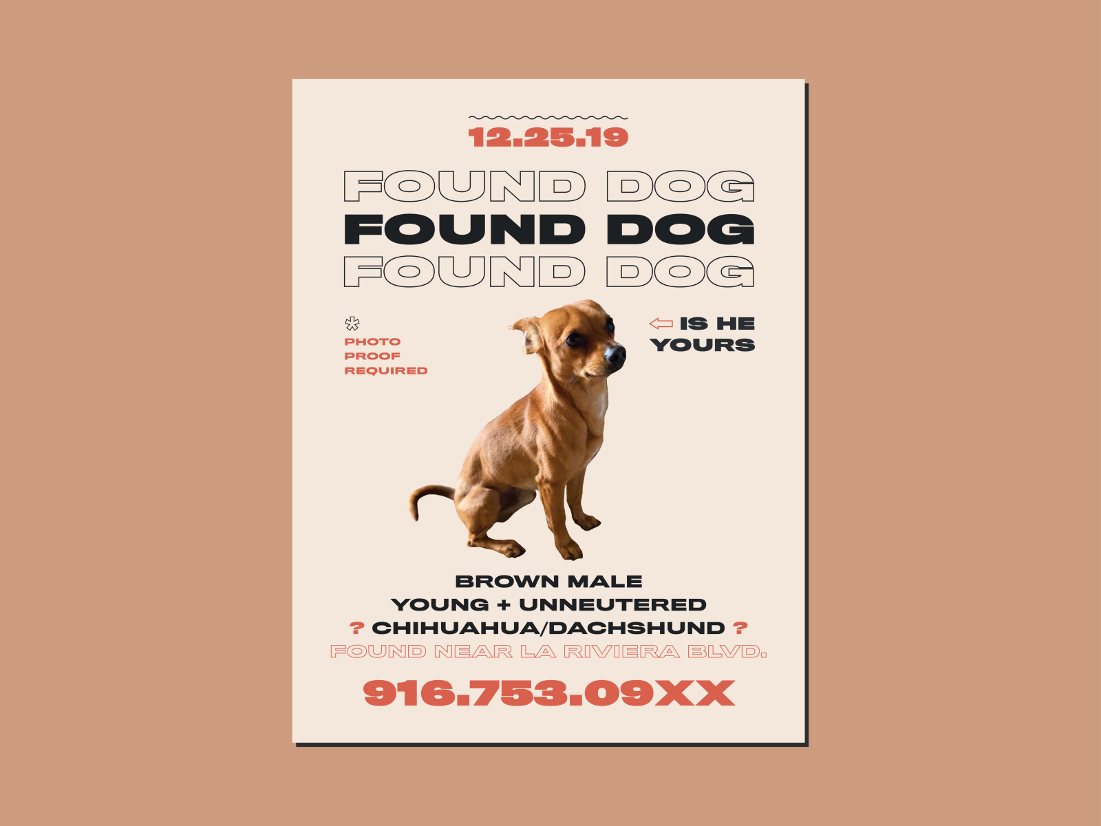 FOUND DOG FLYER By Angelina Sorokin On Dribbble