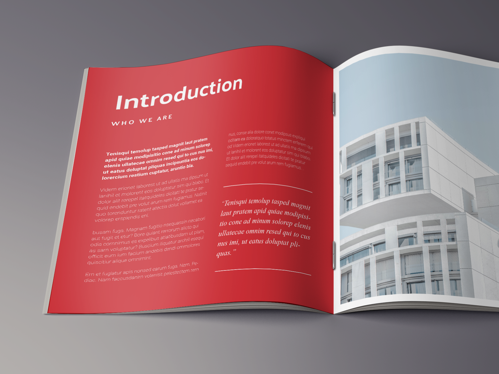 Squere Magazine Portfolio - Introduction by Marko P on Dribbble