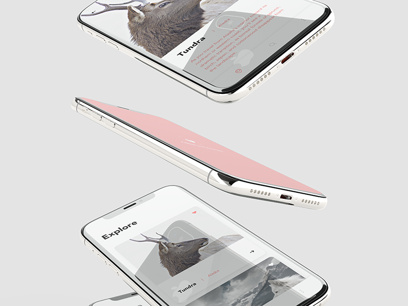 Explore UI by Cameron Sagey on Dribbble