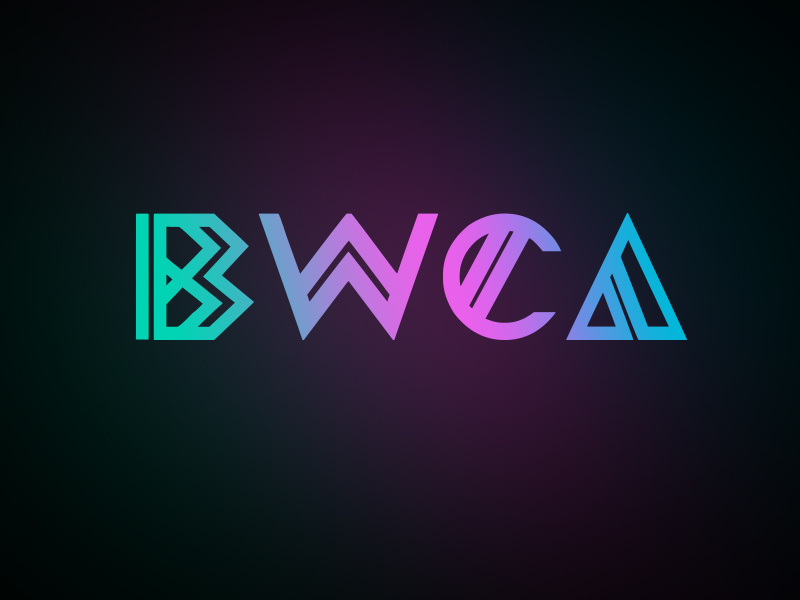 Aurora Borealis inspired BWCA logo mark by Ryan Supalla on Dribbble