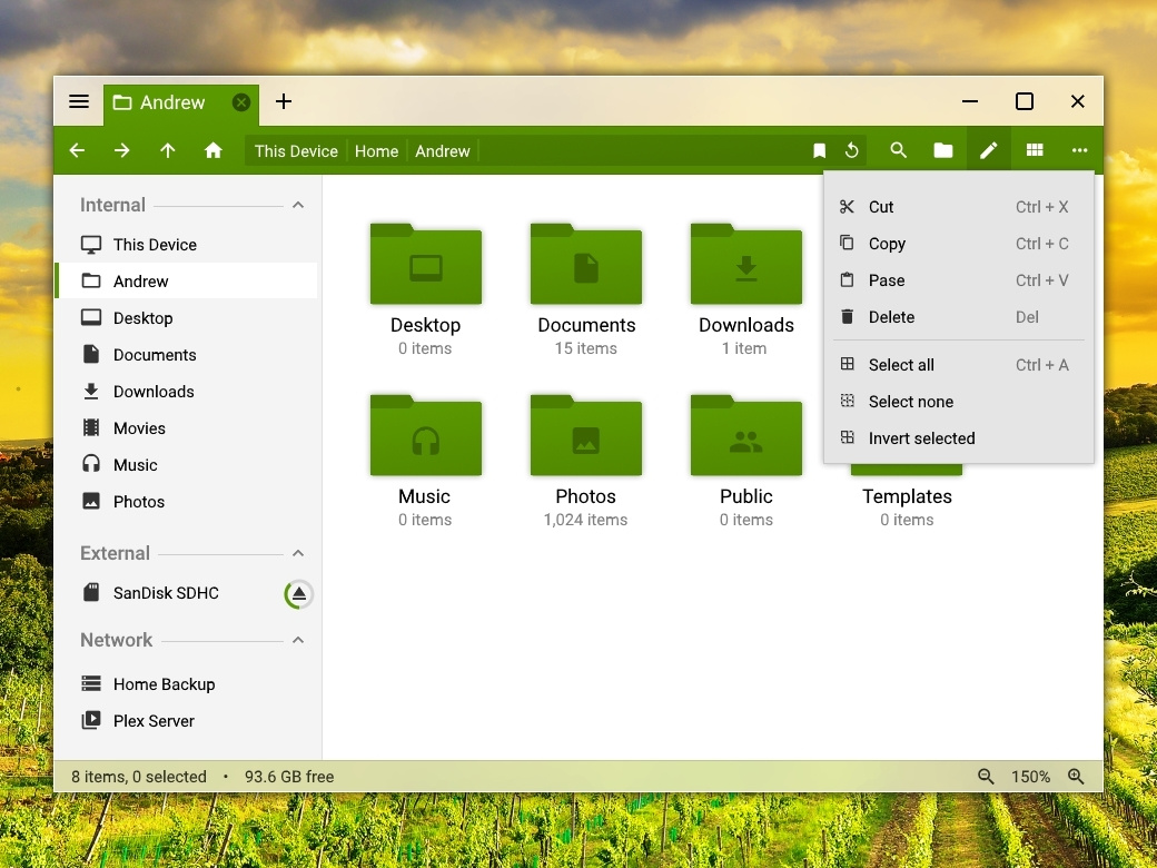 File Manager Concept by Andrew on Dribbble
