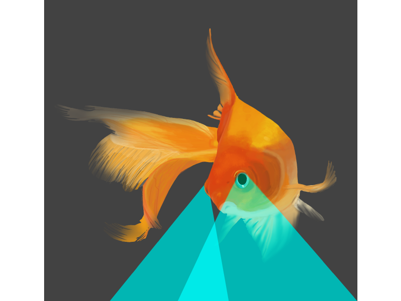 Laserfish02 01 by Ayla O'Brien on Dribbble