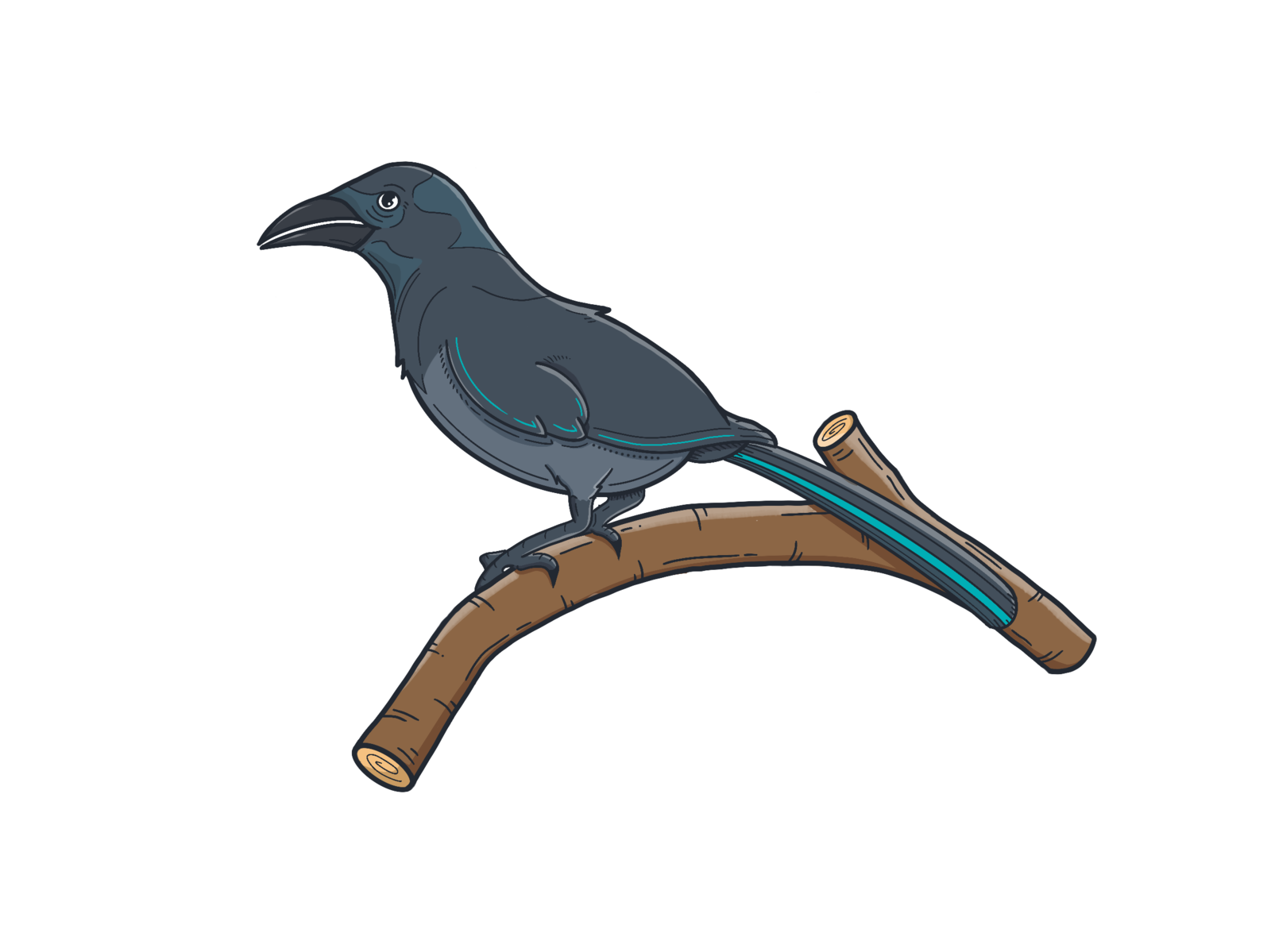Grackle by Jeffrey Gatbonton on Dribbble
