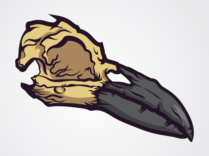 Raven Skull by Jake Walker on Dribbble