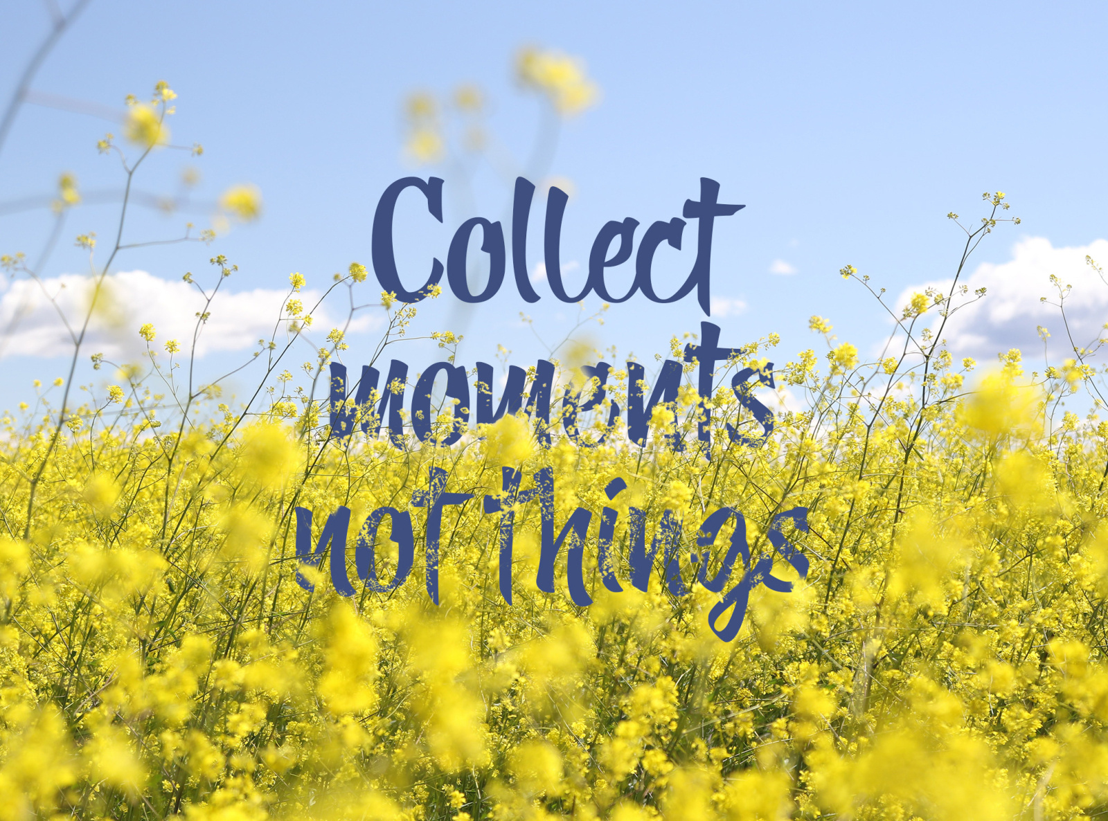 Yellow Ginger Font in use by diq™ DRMWN on Dribbble