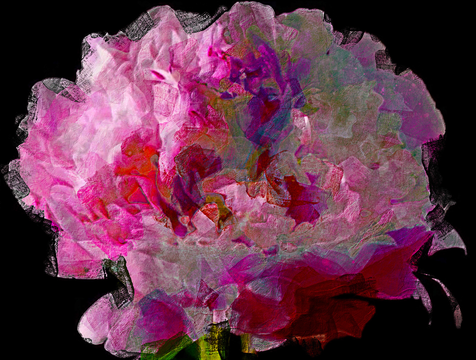 Fleur rose by Xavier Marchand on Dribbble