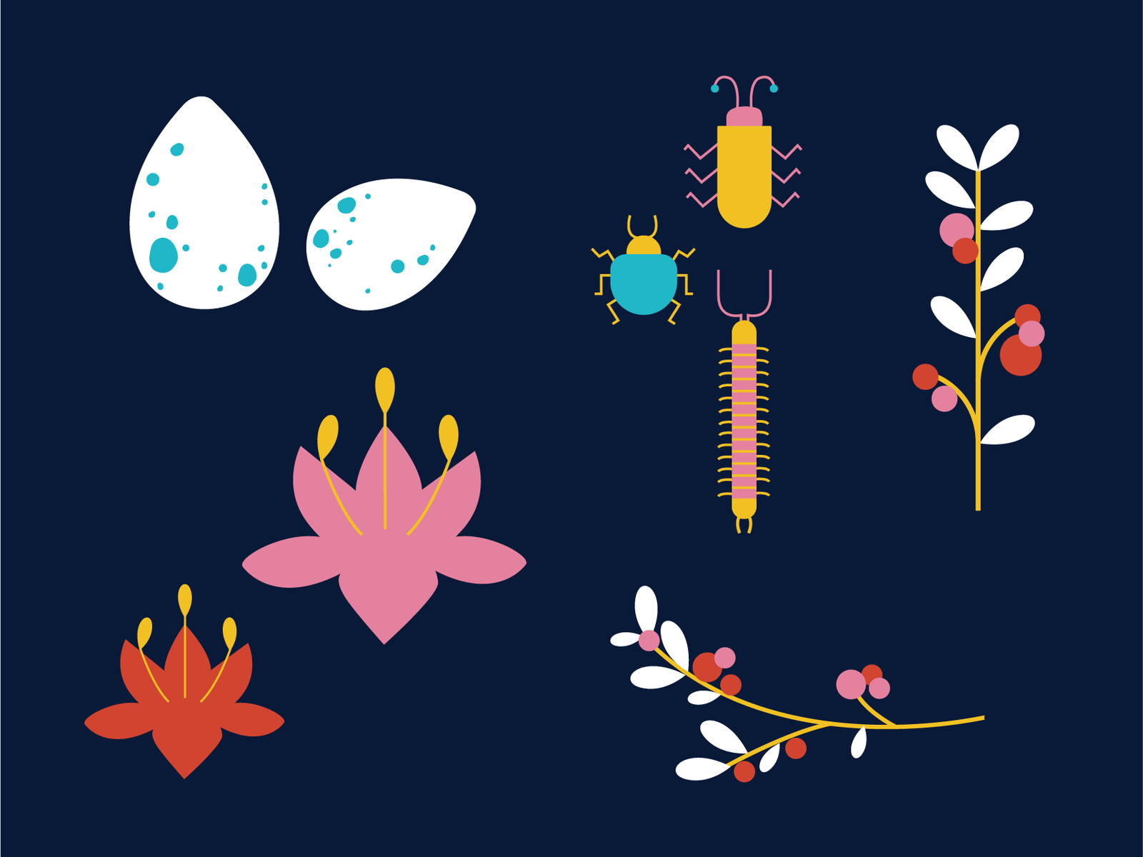 Scitalis Snake by Allegra Parlavecchio on Dribbble