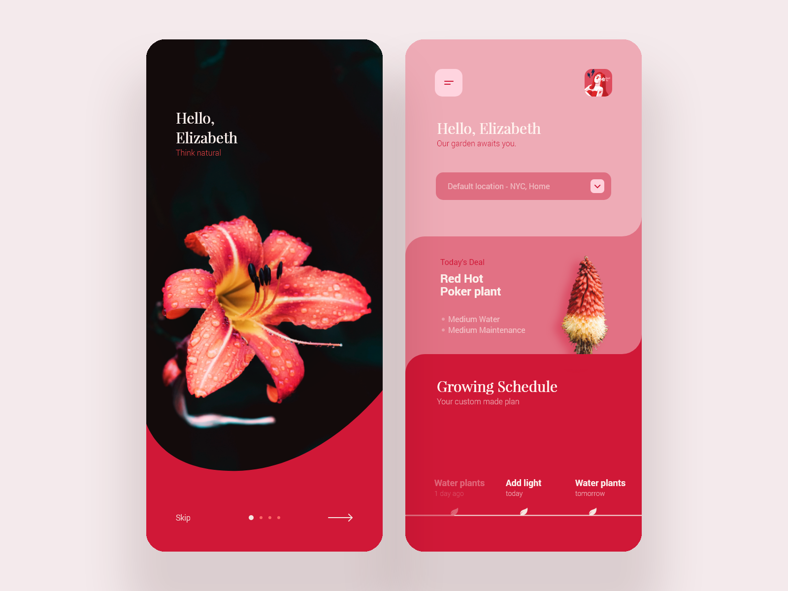 Flower App - DailyUI 045 by Arthur K on Dribbble