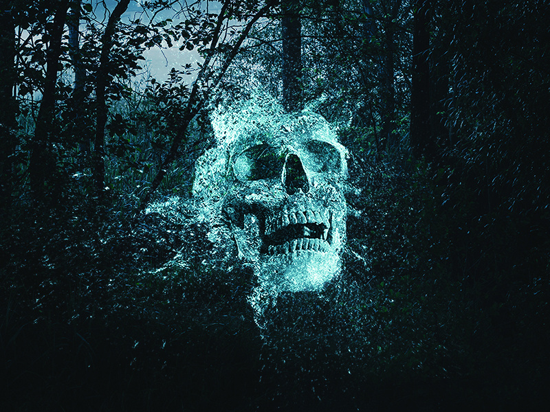 Skull Forest by Kevin Portillo on Dribbble