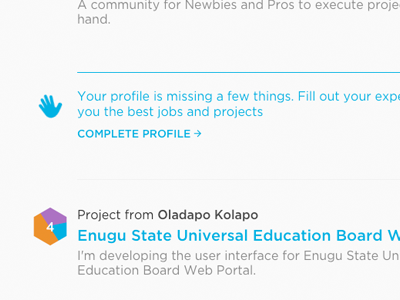 Complete Profile by Opemipo Aikomo on Dribbble