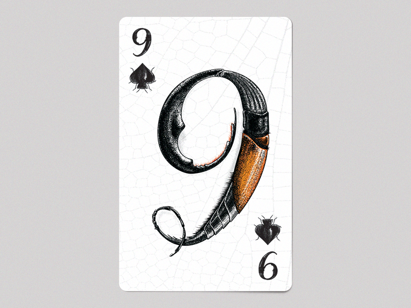 9♠ insecttering for ElCabriton by LeoVM on Dribbble