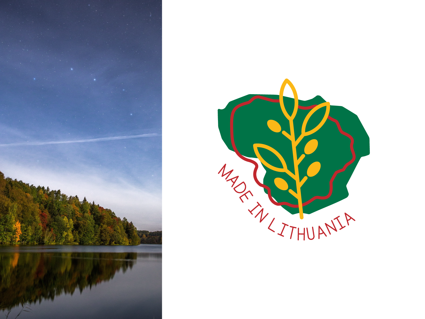 Icon made in Lithuania by Raminta Raine on Dribbble