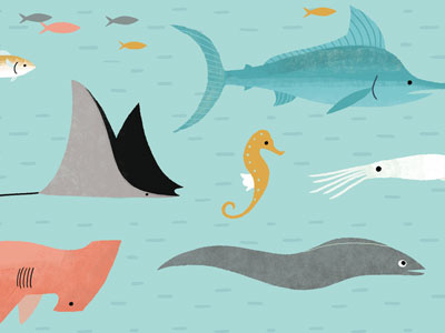 Sea creatures by Emily Dove on Dribbble