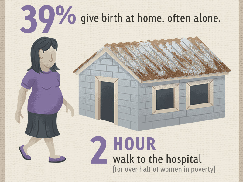 Mother's Day Infographic - Birth by Josh Lewis on Dribbble