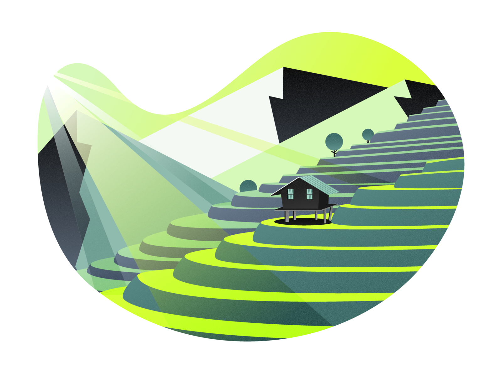 cropland by ilker beşken on Dribbble