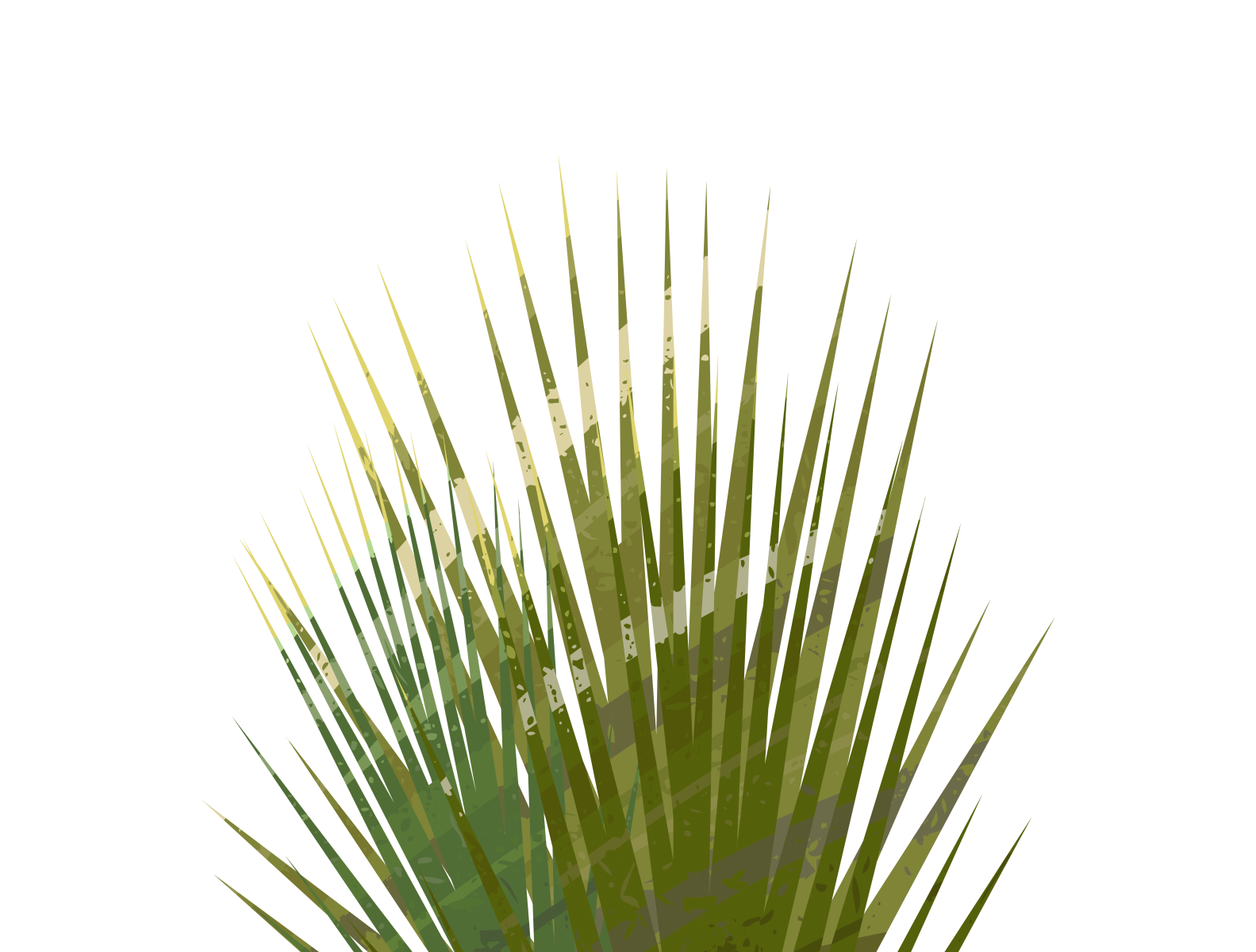 potted plant-css by Tatjana Yurtsevich on Dribbble