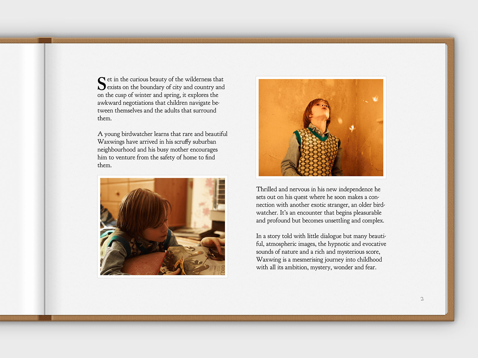 Waxwing Concept B by Hal Ferello on Dribbble