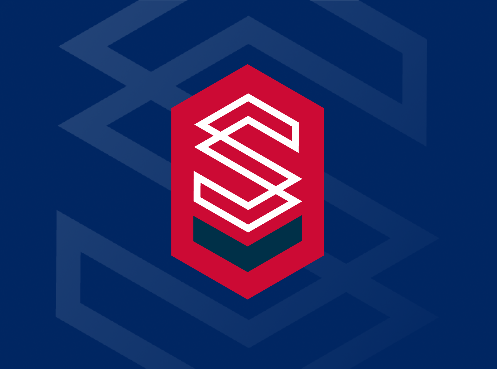 Secure Measures Brand by Mark Dingman on Dribbble