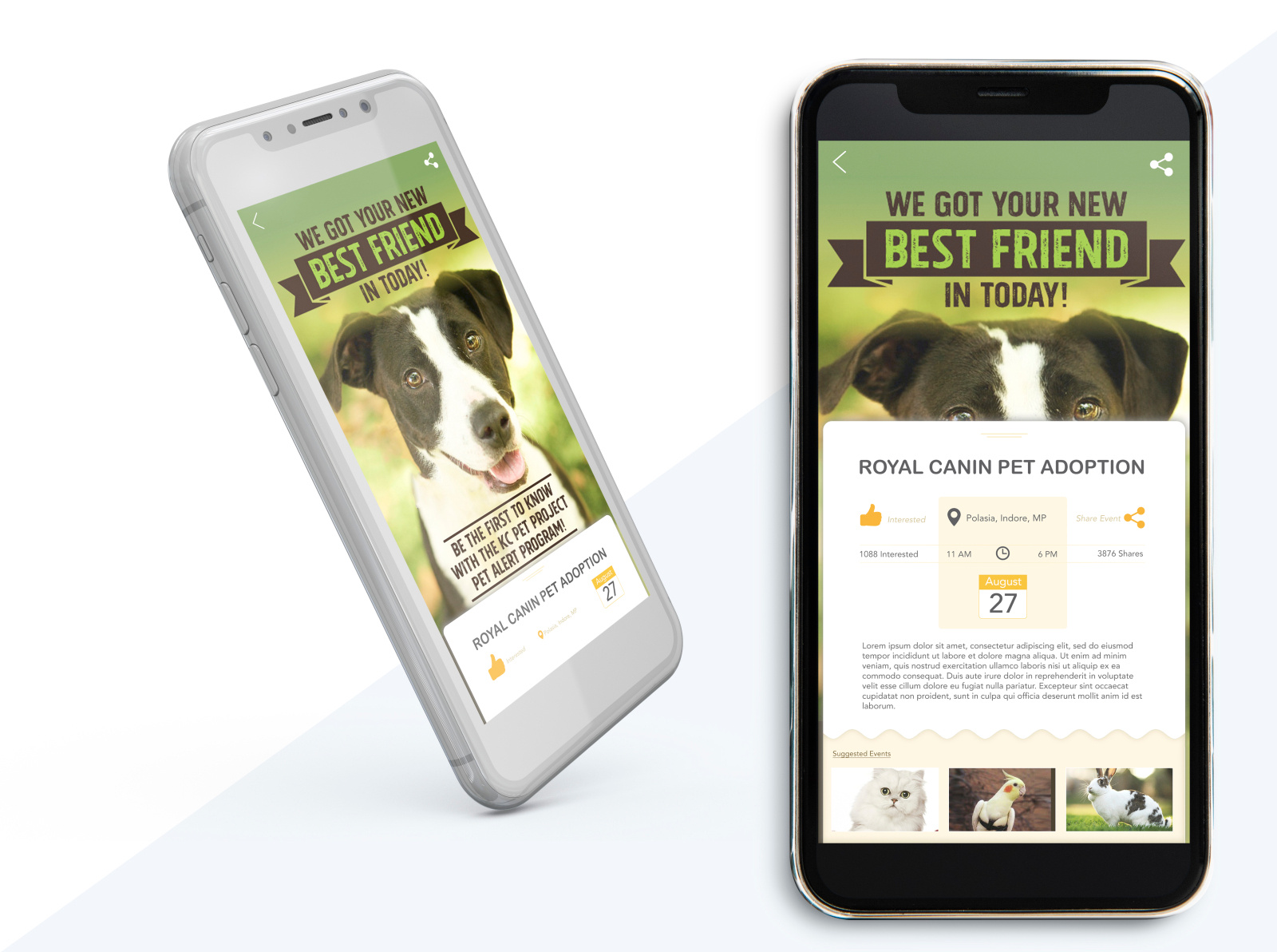 Details Screen by Fazil Ali on Dribbble