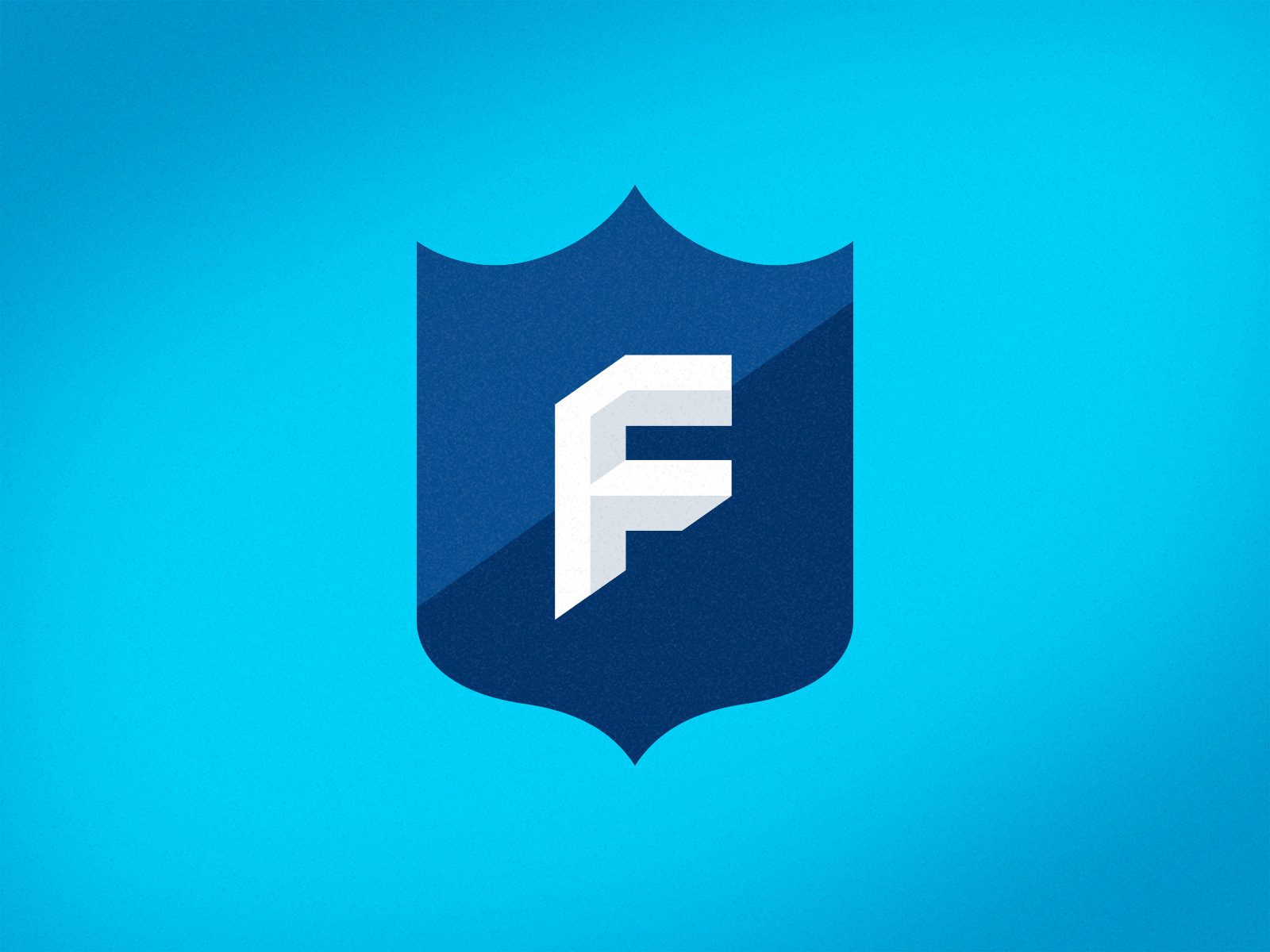 NFL Fantasy Football Brand ID by Dane Storrusten on Dribbble
