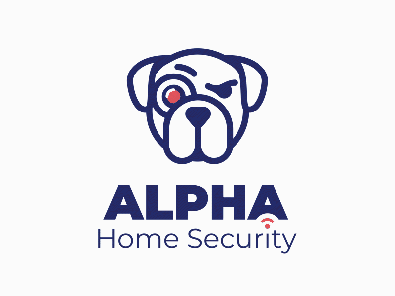 ALPHA Home Security by Petr Eleder on Dribbble