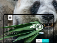 WWF by Kirill Pavlov on Dribbble